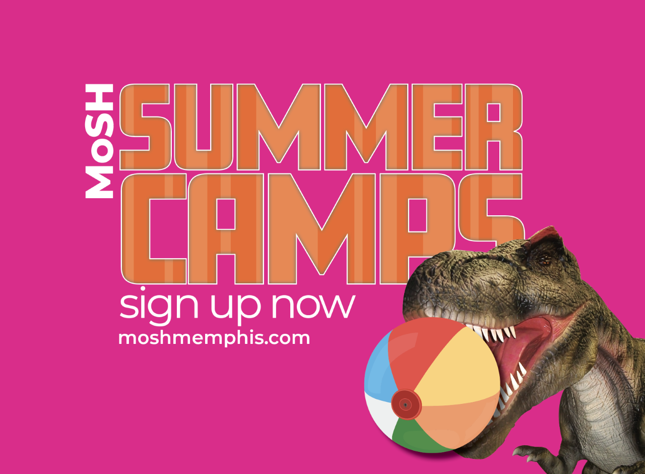 MoSH Summer Camps - Two Locations! | Kids Out and About Memphis